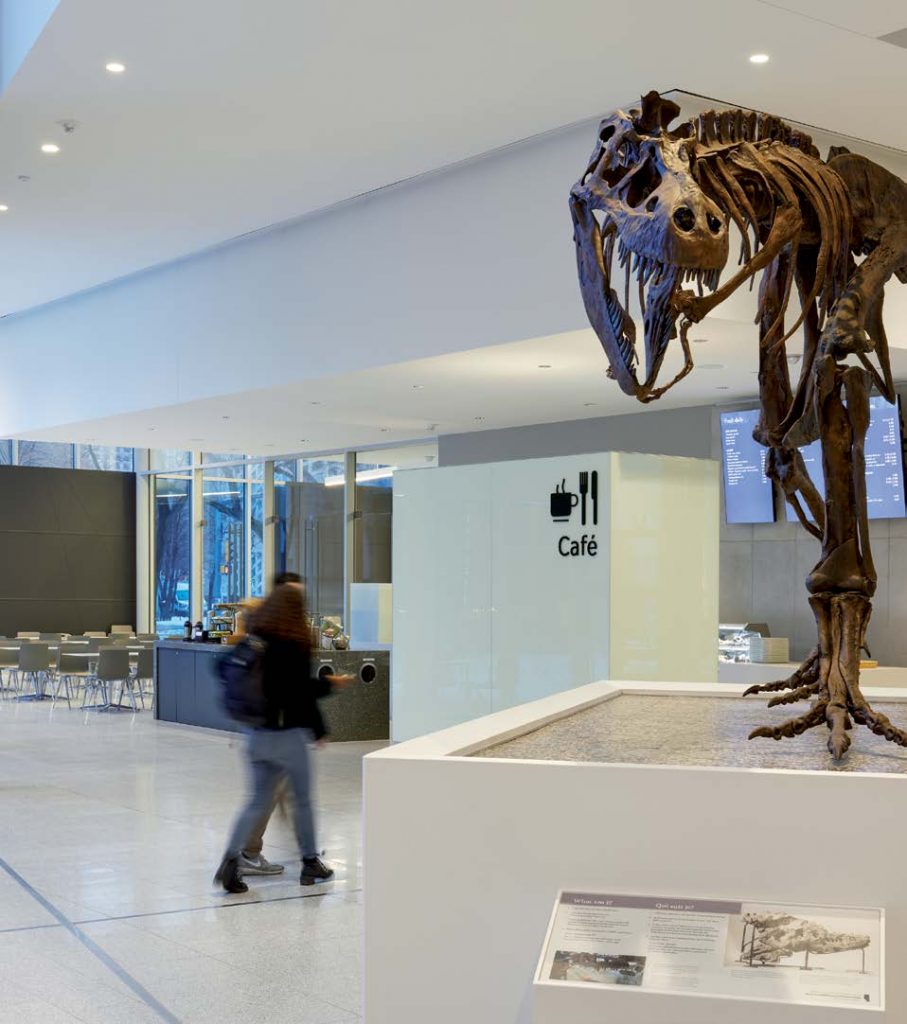 RAM-cafe - Canadian Architect