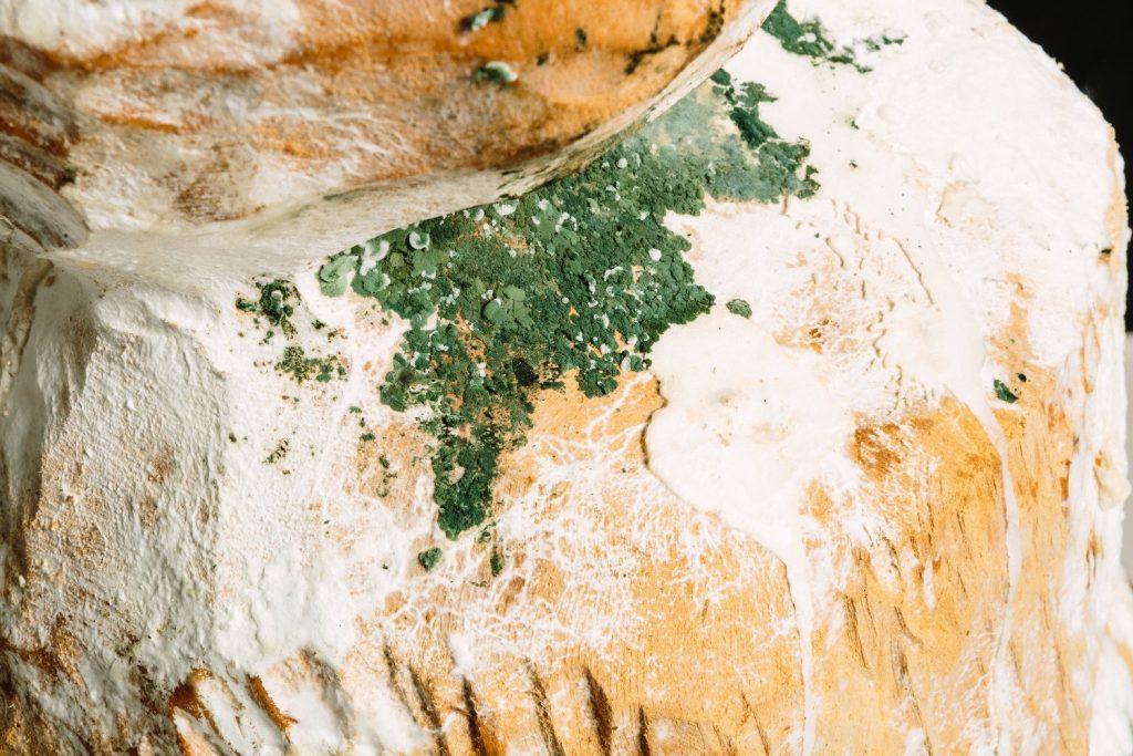 Designing Decay: Calculus of an Infinite Rot at the Rhubarb Festival ...