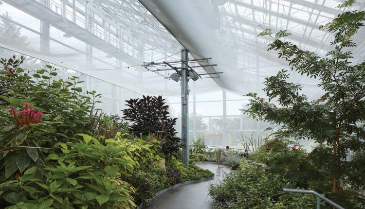 Insectarium - Canadian Architect