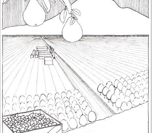 10a_The Delta Primer deck includes four wild cards that make a panorama ...