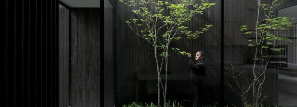 The West Vancouver Art Museum presents first solo show of photos by Ema ...