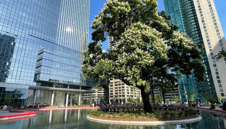 IMG_2429@CCxA - Canadian Architect