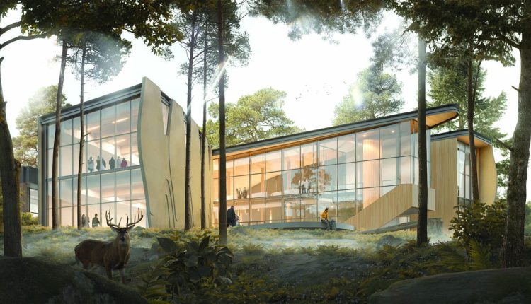 1 TEEPLE ARCHITECTS_UVIC NCIL_FOREST ETHEREAL - Canadian Architect