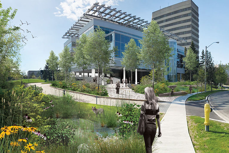 OAA Landscape Design Competition Submissions on Display