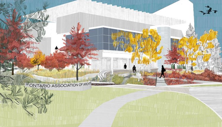 Team Basswood_thumbnail - Canadian Architect