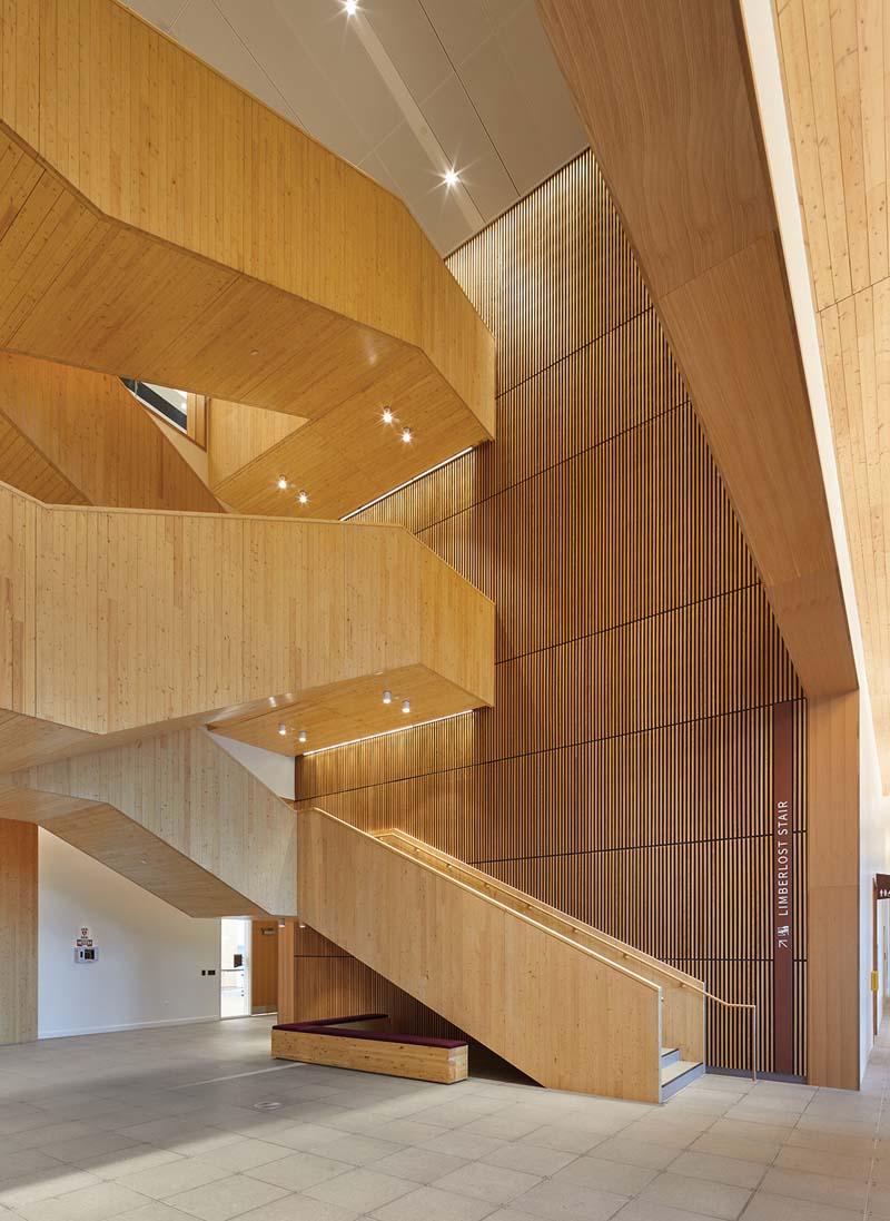 Building a Culture of Tall Timber