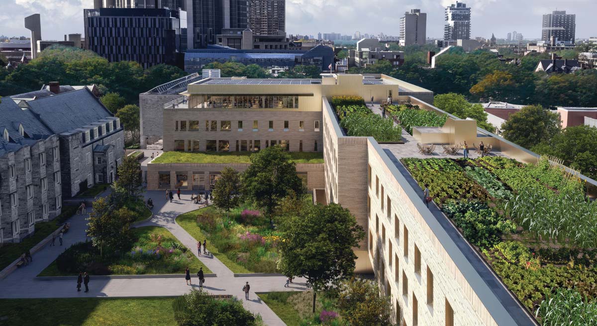 Structural Engineering and Embodied Carbon