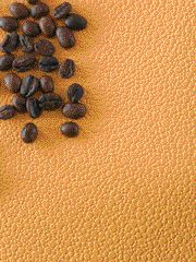 Five New Fashion-Forward Textures (September 01, 2005)