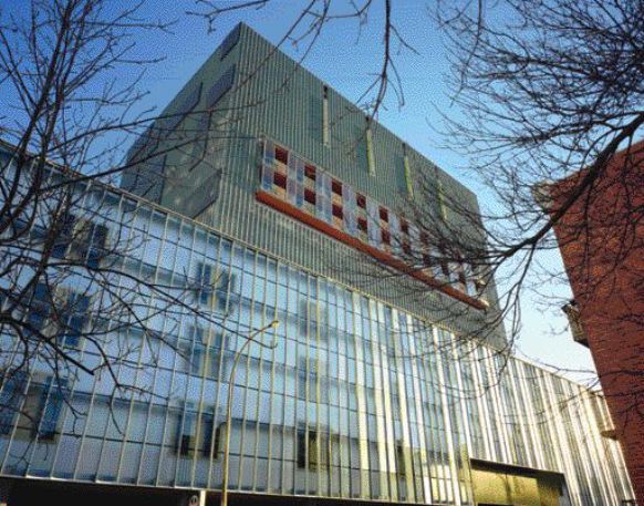 Beauty From the Beast