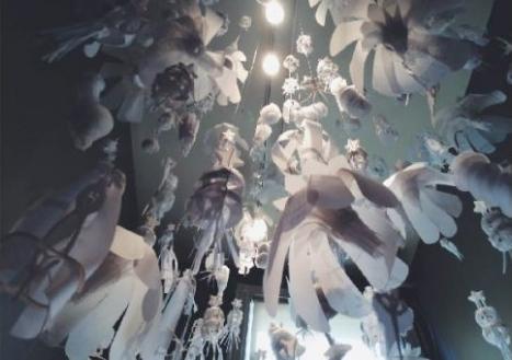 Call for submissions to the Gladstone Hotel’s fourth annual Grow Op ...