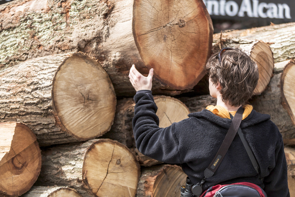 River logs installed in Montreal's Quartier des Spectacles